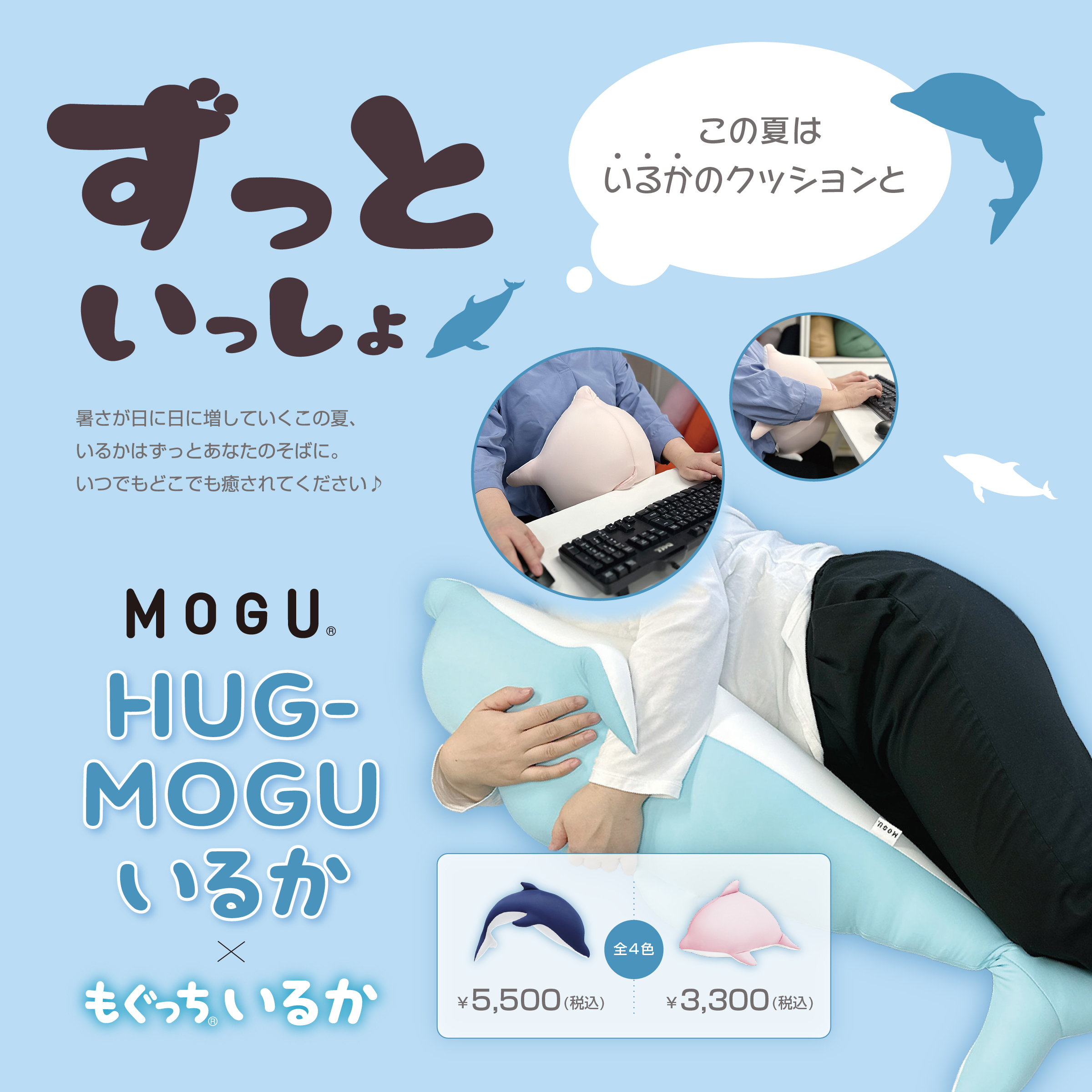 HUG-MOGUいるか｜MOGU（モグ） 本店